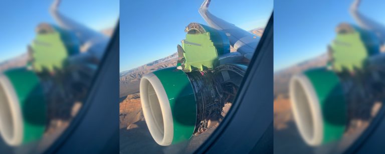 Airbus A320 Family of Aircraft Engine Fan Cowl Door Loss Incidents ...